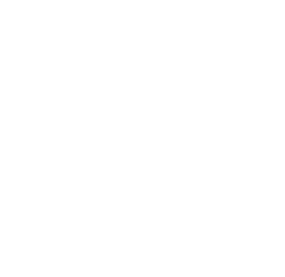 schülke Knowledge Transfer (Online)